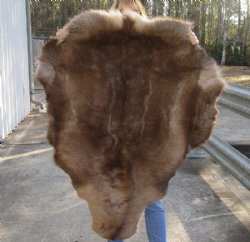 Authentic Reindeer Hide | Reindeer Skin | Reindeer Fur | Wholesale