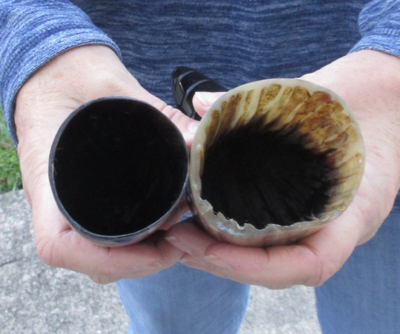 2 Polished Spiral Carved Cattle/Cow Horns