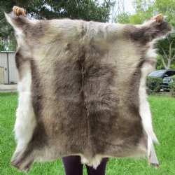 Authentic Reindeer Hide | Reindeer Skin | Reindeer Fur | Wholesale