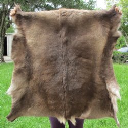 Authentic Reindeer Hide | Reindeer Skin | Reindeer Fur | Wholesale