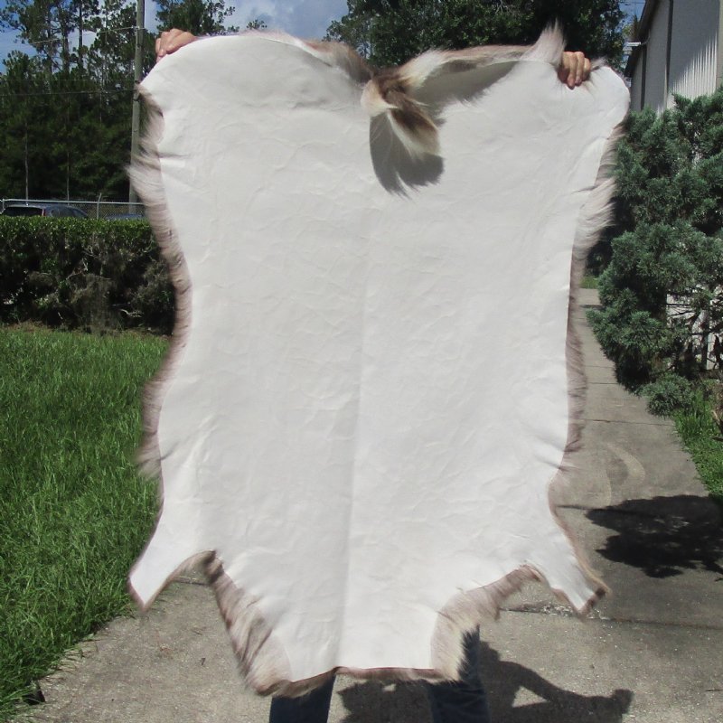 Finland Reindeer Hide, Skin, farm raised