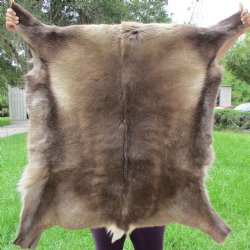 Authentic Reindeer Hide | Reindeer Skin | Reindeer Fur | Wholesale