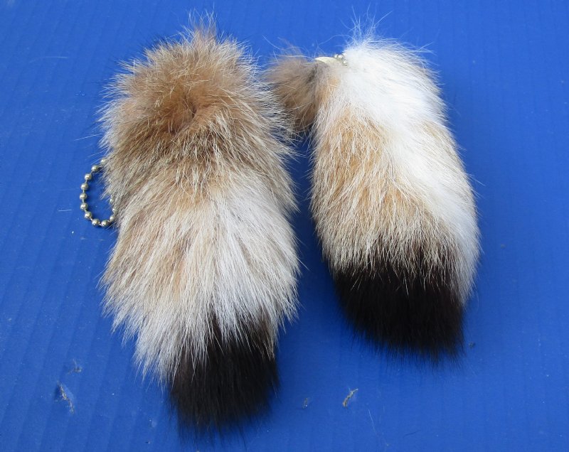 Lynx Tail