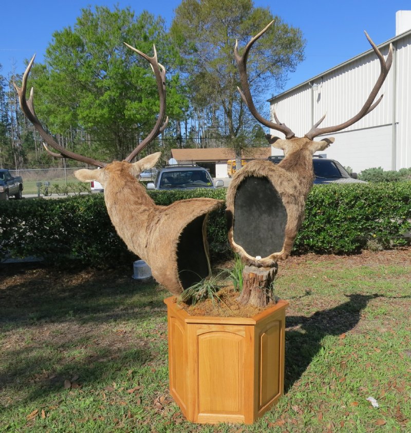 Red Stag Pedestal Mount with 2 Red Stags
