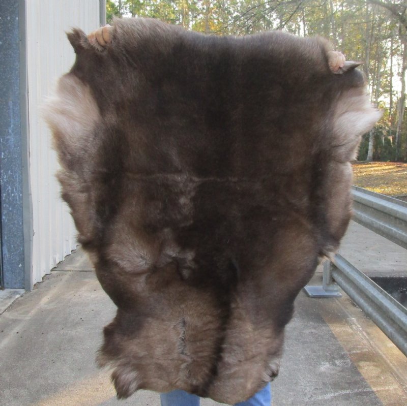 Grade A Reindeer pelt/hide/skin