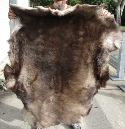 Authentic Reindeer Hide | Reindeer Skin | Reindeer Fur | Wholesale