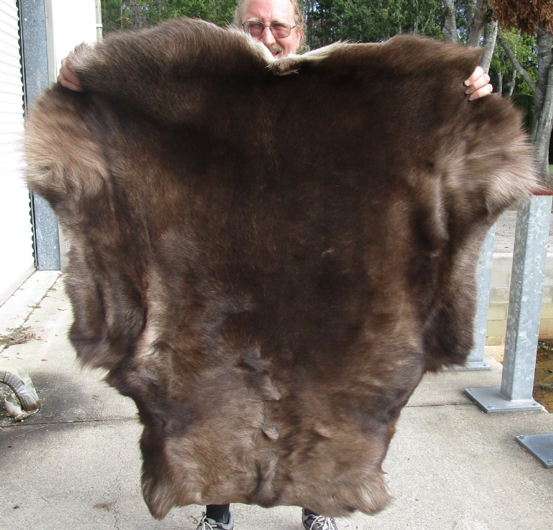 Nice Qualtiy Reindeer pelt/hide/skin
