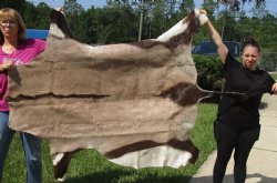 Atlantic Coral Enterprise - Atlantic Coral Enterprise, Inc.