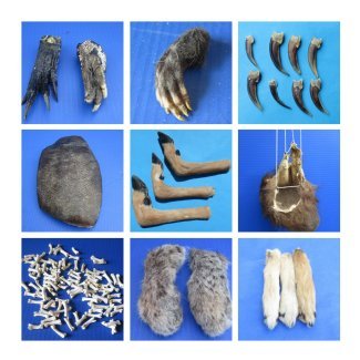 Wholesale animal feet, animal claws, animal legs, animal tails